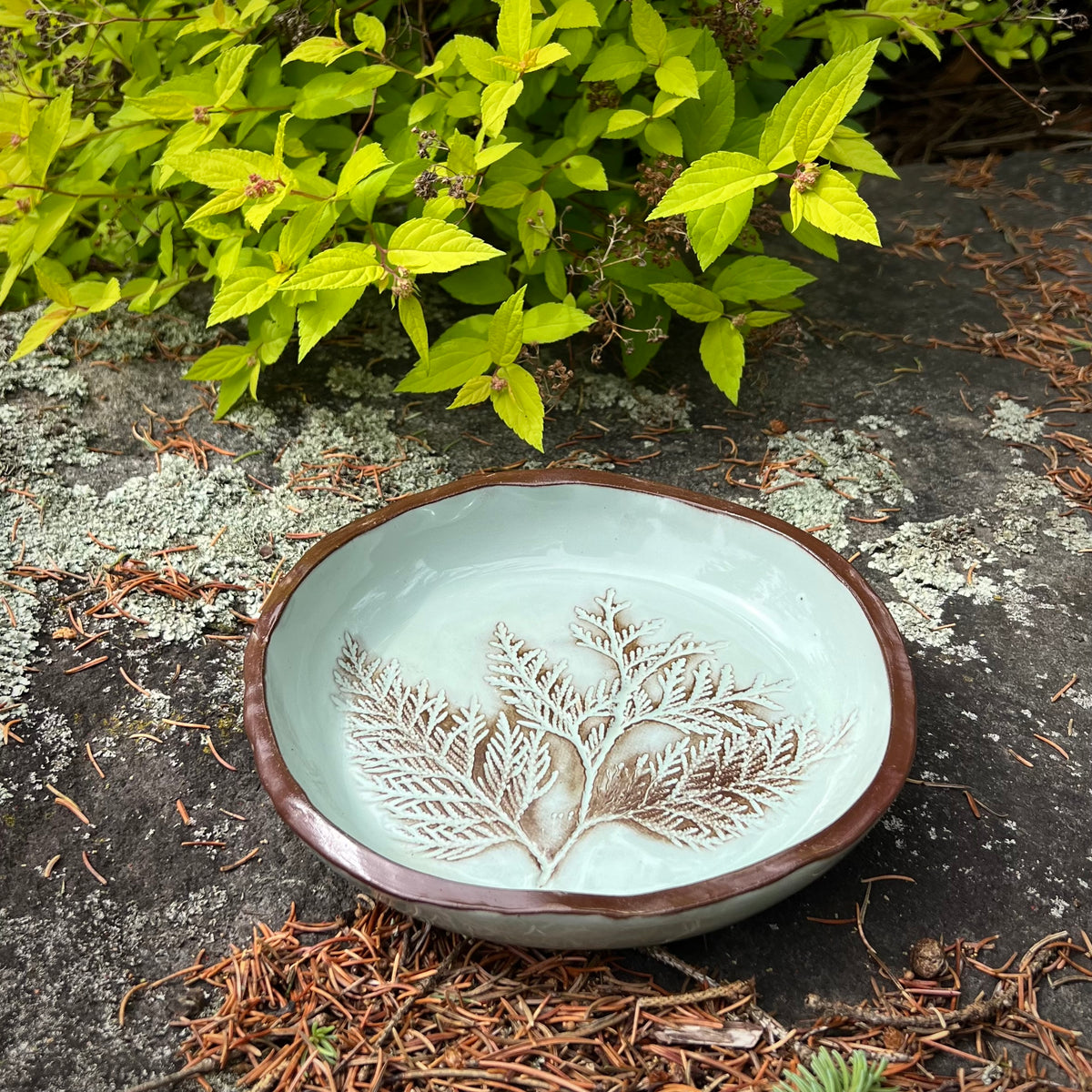 Plate- Sage Cedar Round – MBB Pottery